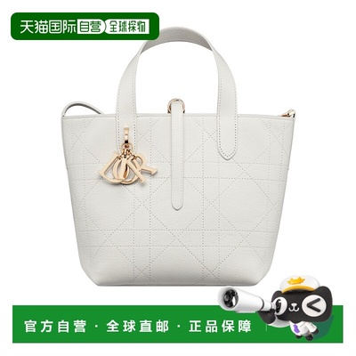 香港直邮Dior 小号 Dior Toujours 垂直托特包 M2835OCUQ迪奥