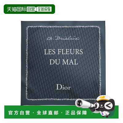 欧洲直邮DIOR（迪奥）Carre 70 Book Cover