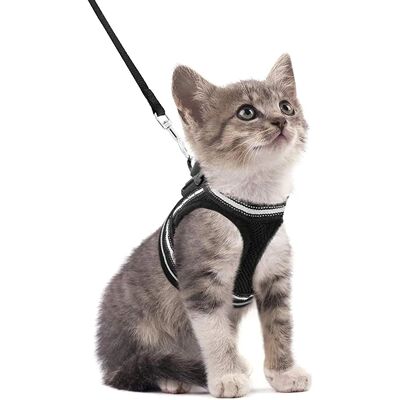 Cat Harness and Leash Set for Walking Escape Proof, Adjustab