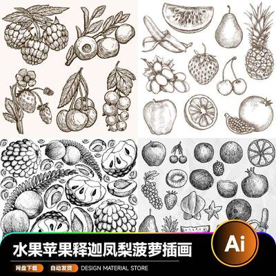 手绘线稿水果苹果释迦桃子凤梨菠萝AI矢量素材40311T