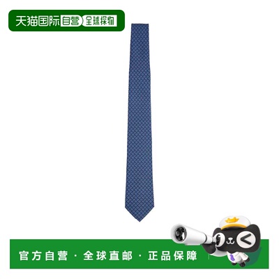 香港直邮FERRAGAMO/菲拉格慕 领带与领结 3509504TETRIS768562