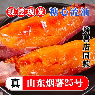 山东烟薯25号糖心红薯农科院新鲜蜜薯农家自种沙地番薯红心烤地瓜