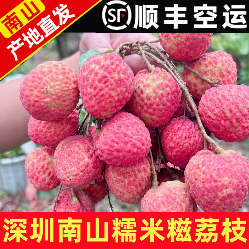 深圳南山糯米糍荔枝新鲜水果小核现摘现发5斤顺丰包邮