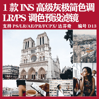 FCPX/PR调色lut插件滤镜预设INS高级灰极简风一键调色滤镜lr预设