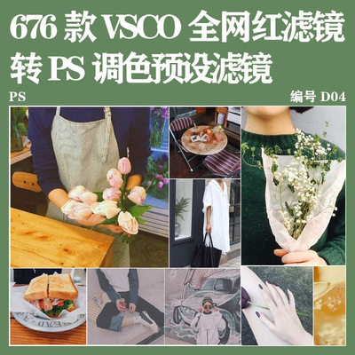 VSCO全滤镜电脑版网红人物风景PS一键调色滤镜3DLUT插件预设套装