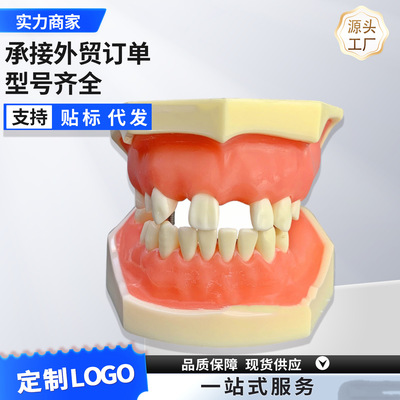 M2029种植牙缺失练习模型