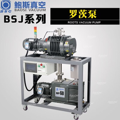 罗茨增压真空泵BSJ100Z互换爱J发科真空泵PMB100D
