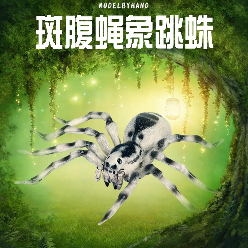 林畅模玩儿童昆虫玩具斑腹蝇象跳蛛模型蜘蛛宠物蛛食鸟蛛仿真动物