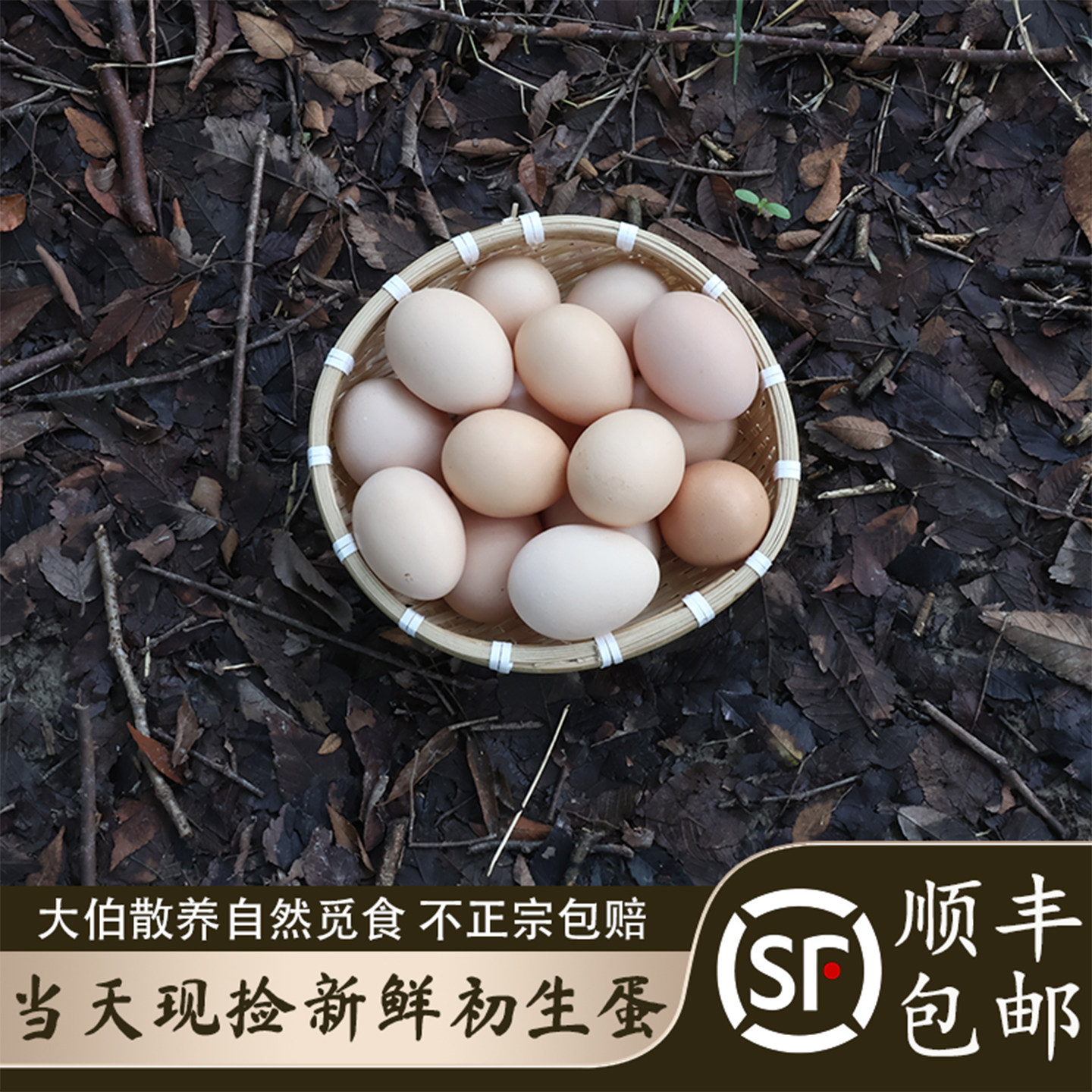 顺丰包邮大伯正宗散养新鲜草鸡蛋初生鸡蛋月子蛋辅食不正宗包赔