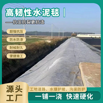 水泥毯浇水固化河道沟渠基坑混凝土毯子鱼塘护坡铺路防渗透加固毯