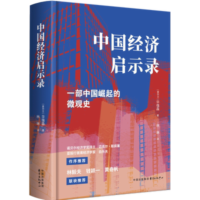 中国经济启示录 一部中国崛起的微观史