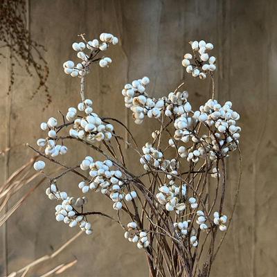 乙木繁花干花买6送1原生ins