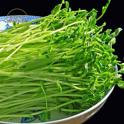 豌豆苗Sprouts-PeaShoots