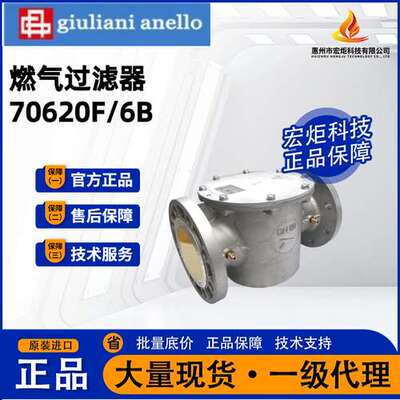 朱利安尼giuliani anello天然气过滤器法兰款 70620F/6B 10608/F