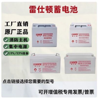 雷仕顿铅酸蓄电池NP100-12V100AH65AH38AH24AH17AH120AH150Ah200A