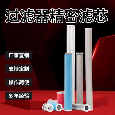 替代南京赛格NF-0.5/1/2/3/6/10/13/15/20/25V Z X A管道过滤滤芯