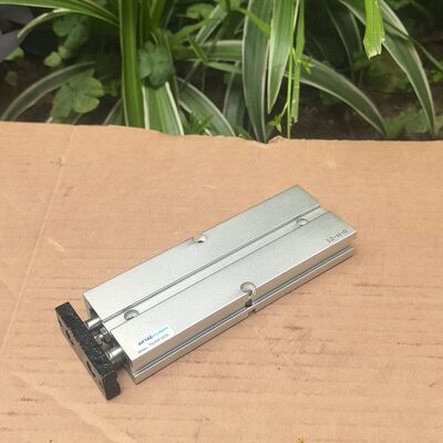 TN16x100S双杆气缸 双轴气缸 缸径16mm