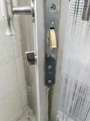 大队长5586铝合金门锁移门勾锁铁闸门锁塑钢钩锁金凤移门锁异形锁