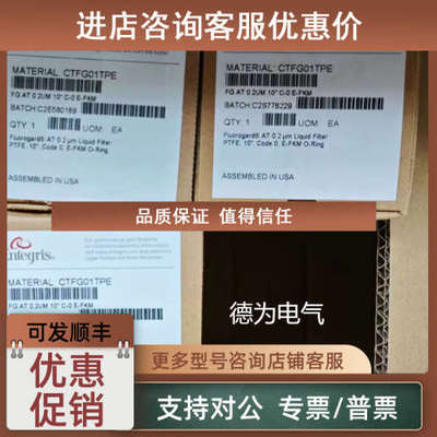 议价英特格ENTEGRIS 过滤器 CTFG01TPE滤芯