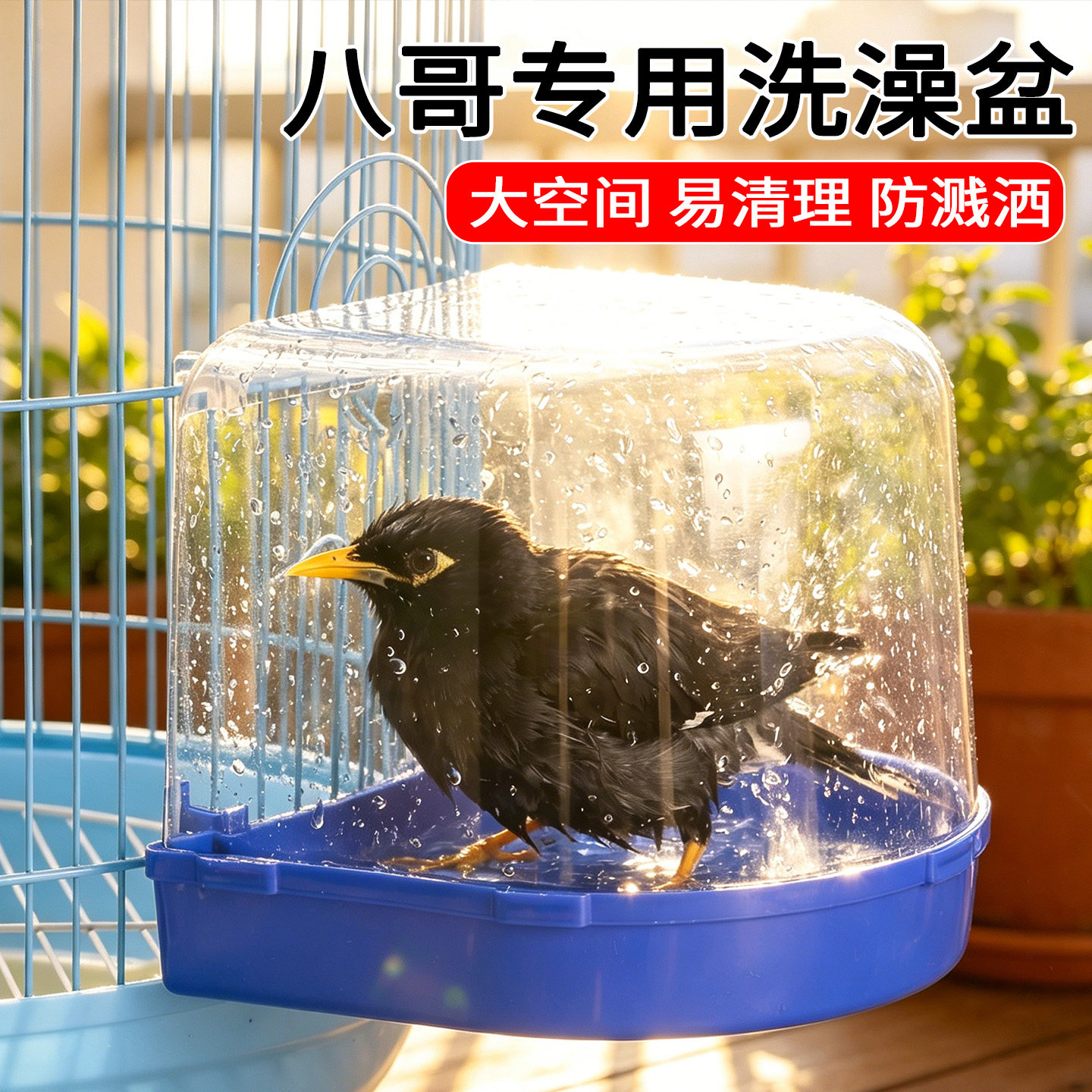 八哥专用洗澡盆大号洗澡神器外置式小鸟浴室淋浴鸟笼配件用品大全