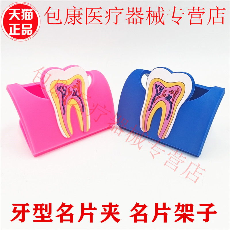 牙科材料 口腔 牙医名片夹 牙科装饰品 牙型名片夹 名片架子 名片