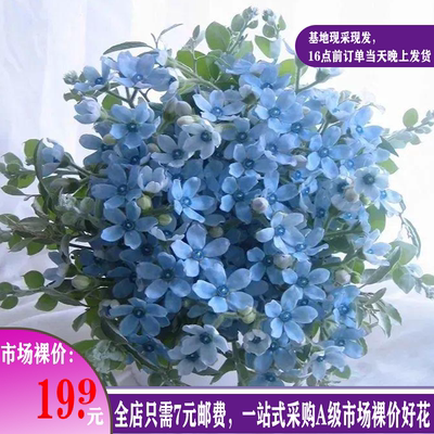 花美宜屋配花很仙的配花