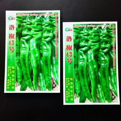 诚研洛椒43号特大果螺丝椒种子籽孑巨型高产抗病毒病超辣坐果多LT