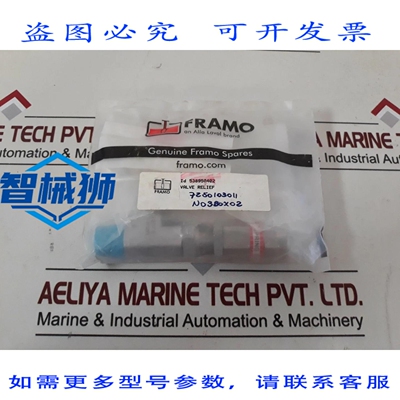 原装供应 FRAMO 538950402 泄压阀 7250103011