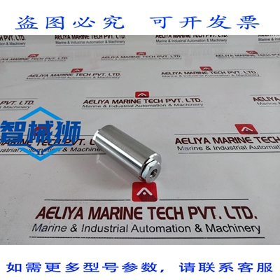 原装供应 海洋工程 100339-REV-F 梭阀