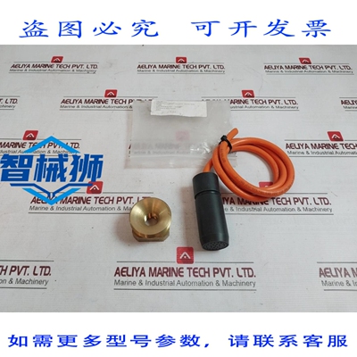 原装供应 ELETTROCATALITICO 37370NG ELETTRODO DI RIFERIMENTO