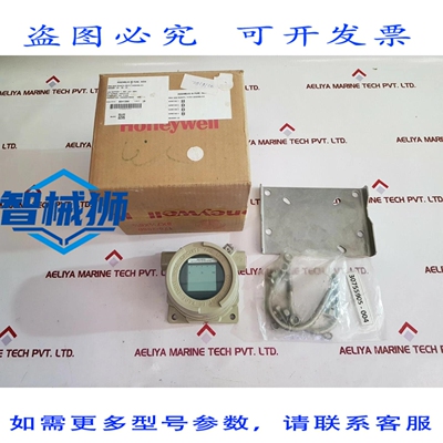 原装供应 RMA300-EU-SB-CA 远程仪表