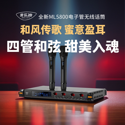 麦乐迪ML5800电子管无线