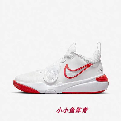 Nike/耐克 TEAM HUSTLE D11GS 大童篮球鞋DV8996-102 DZ2760-141