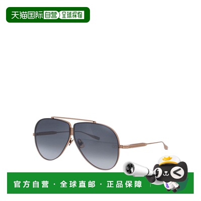 VALENTINO GARAVANI 女士太阳镜 VLS100A64A SS2025