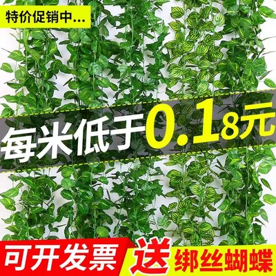 假花绿叶藤条吊顶装饰树叶仿真葡萄叶塑料绿萝藤蔓绿植水管道缠绕