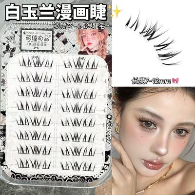 白玉兰漫画假睫毛自然仿真