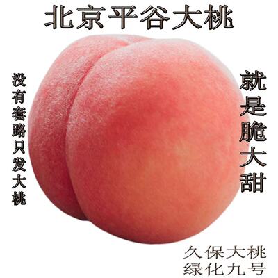 平谷鲜桃5斤北京水蜜桃新鲜水果大久保北京14号桃子毛桃脆甜软硬