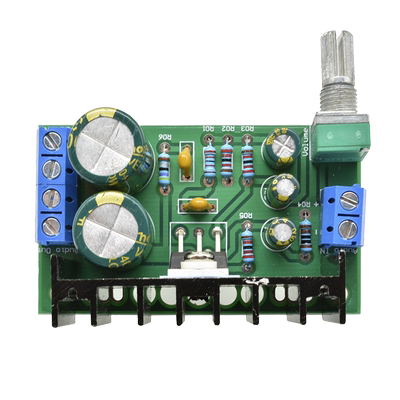 电源12v24v单声道功放板成品