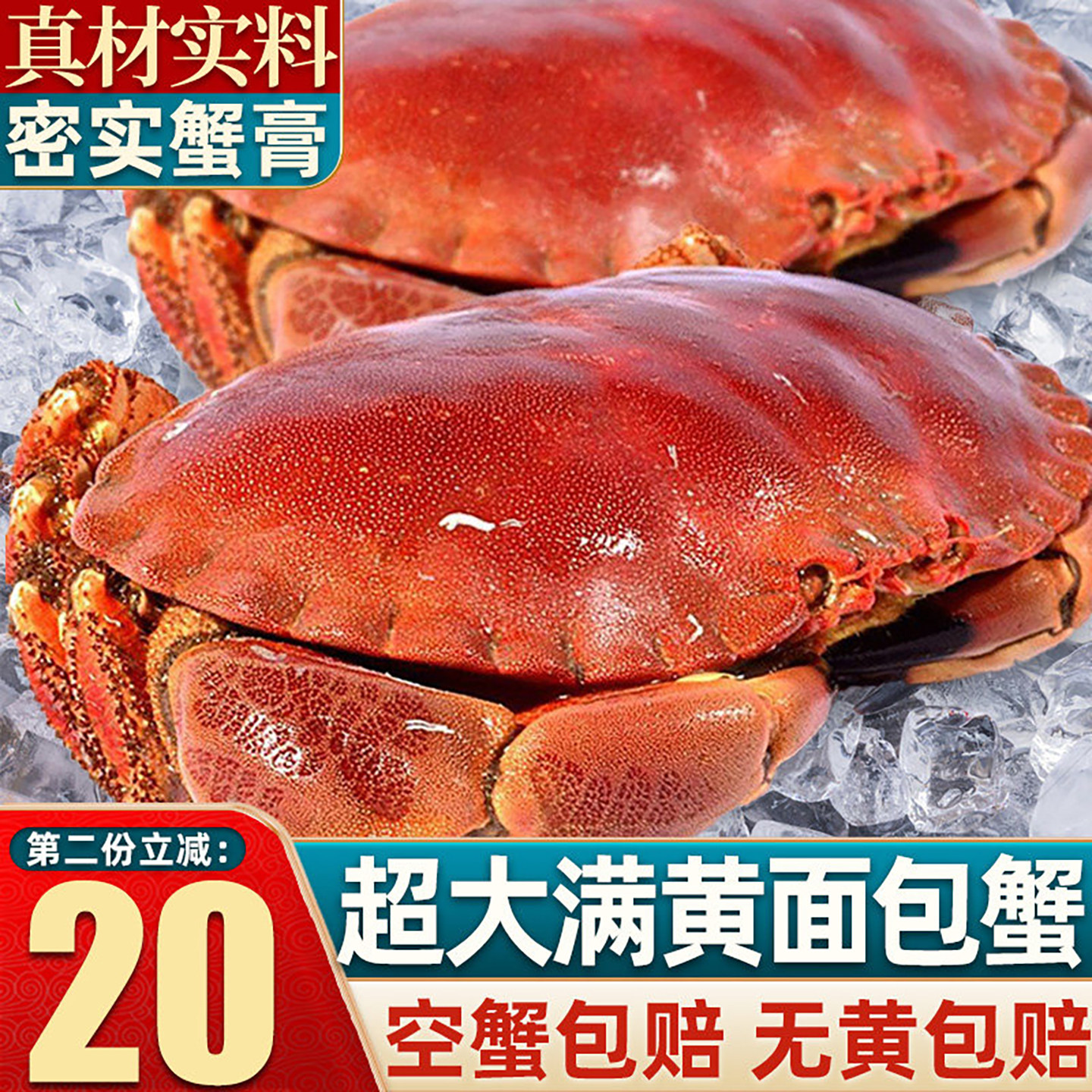 面包蟹鲜活熟冻新鲜海鲜水产特大海螃蟹超大黄金蟹梭子蟹加热即食