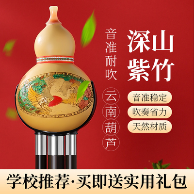 葫芦丝乐器小学生专用C调降B调防摔儿童初学紫竹G调F调D调胡葫丝