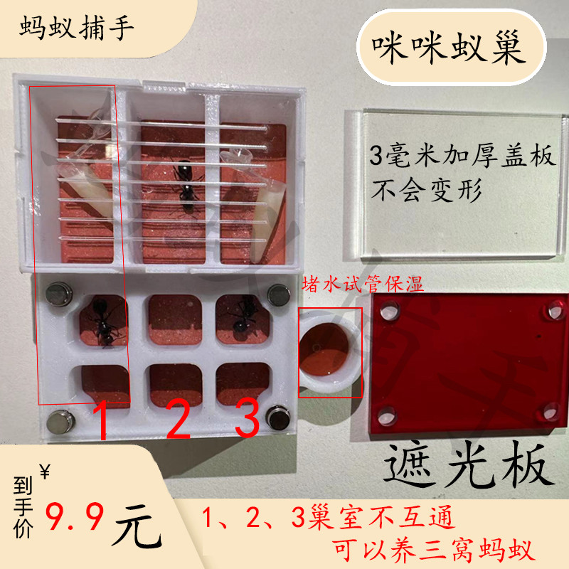 mini咪咪蚁巢,3个巢室可养3窝蚂蚁,方便观察蚂蚁工坊科普教育
