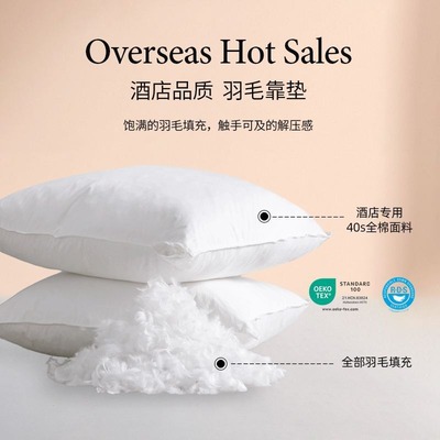 抱枕芯批发酒店沙发抱靠垫床头靠枕pillow靠背垫内胆枕羽毛腰