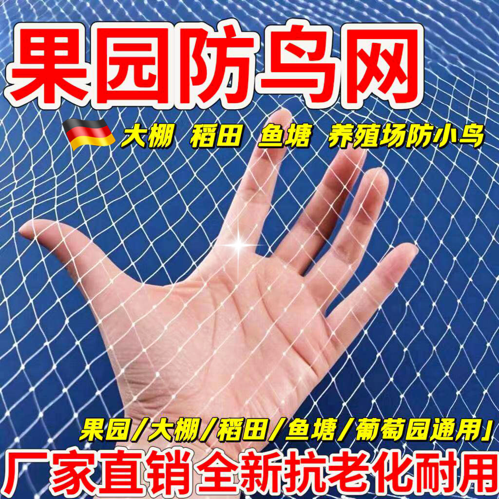 果园防鸟网果树大棚尼龙线防鸟网阳台樱桃树葡萄窗户鱼塘用的天网