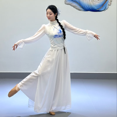 新款古典舞演出服中国舞练功服飘逸纱衣金晨青花瓷舞台表演服女