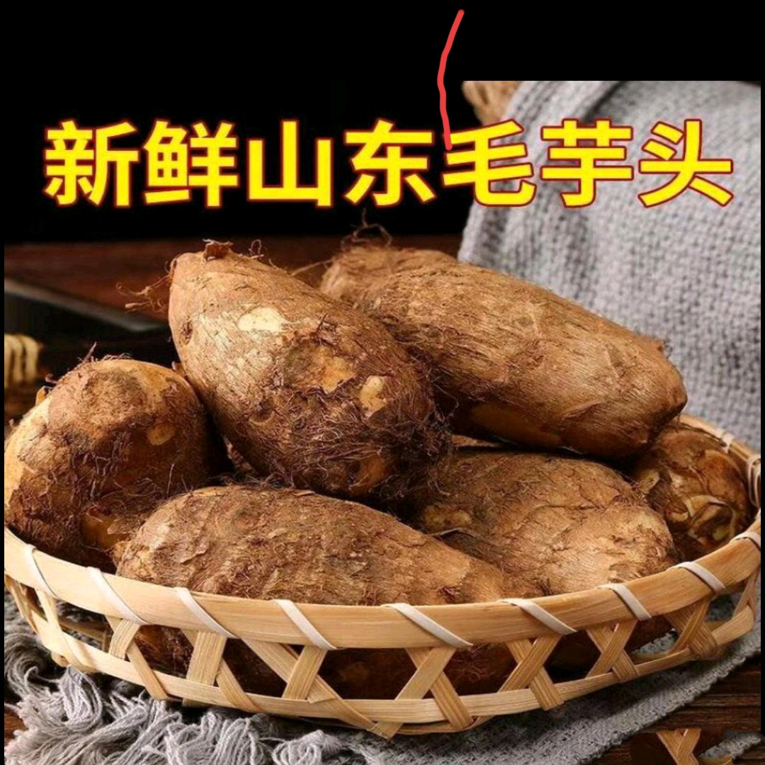 5斤包邮新鲜白芋子香芋非槟榔芋头耐储存藏 特色时令蔬菜产地直销