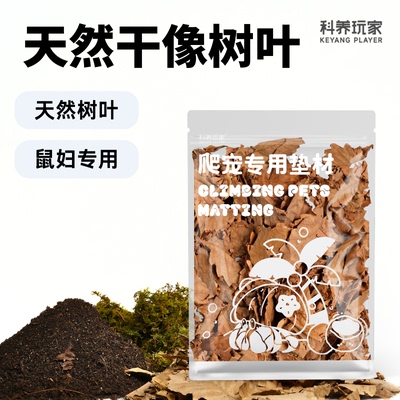 【鼠妇垫材橡树叶】宠物西瓜虫营养土垫材爬宠造景香槟树皮叶苔藓
