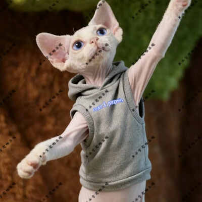 Peace & prosperity萌宠猫衣服宠物服装红色圆领灰色黑色连帽卫衣