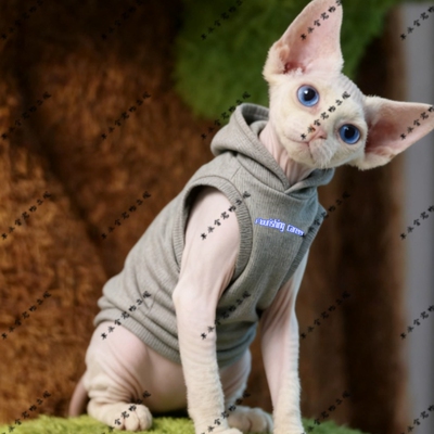 Flourishing career萌宠猫衣服宠物服装红色圆领灰色黑色连帽卫衣