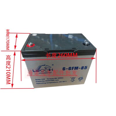 LEOCH理士6-GFM-85中力诺力合力杭叉小金刚蓄电池电瓶6-GFM-65/30