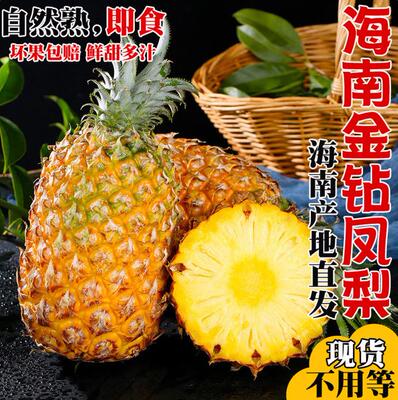 海南金钻凤梨香甜多汁当季新鲜现摘热带水果手撕凤梨不涩嘴特产